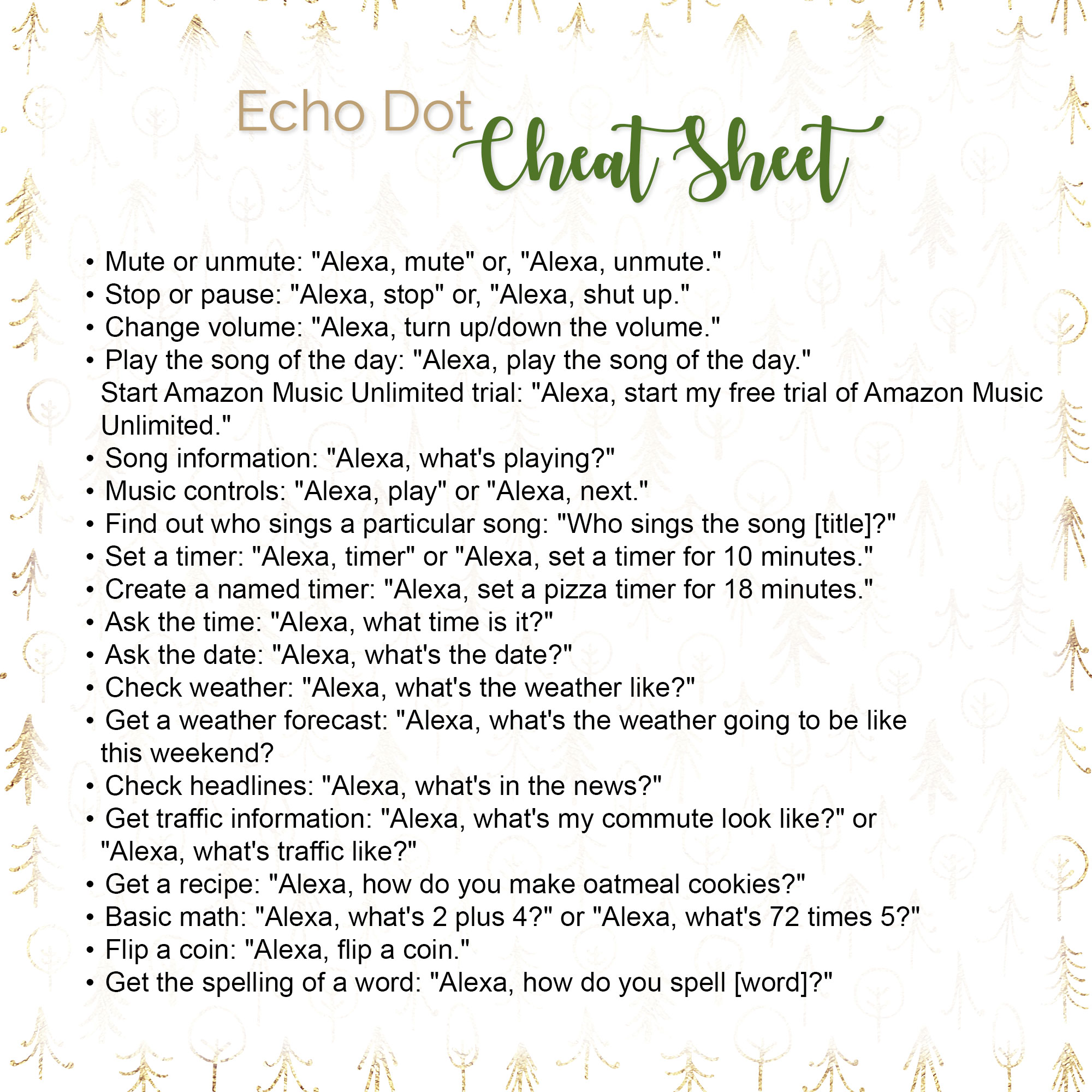 How to Use Your Echo Dot and Simplify Your Life With It - Curly Crafty Mom