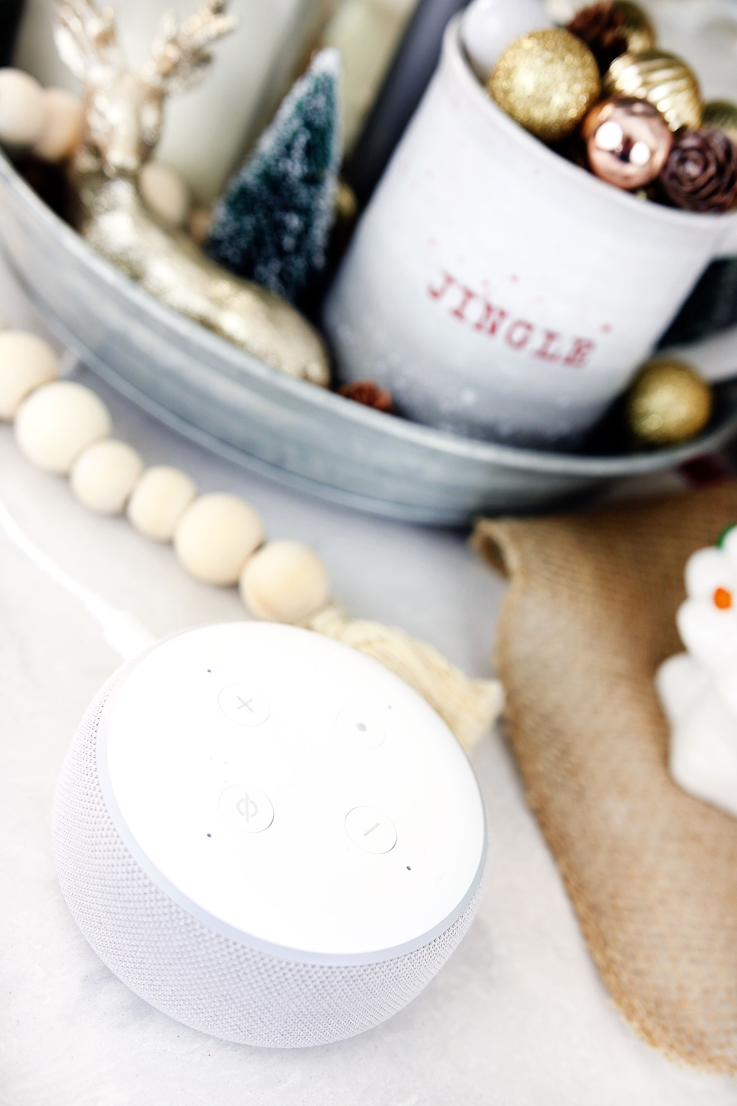 How to Use Your Echo Dot and Simplify Your Life With It - Curly Crafty Mom
