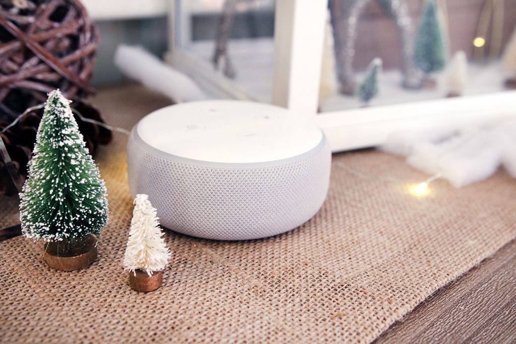 How to Use Your Echo Dot and Simplify Your Life With It - Curly Crafty Mom
