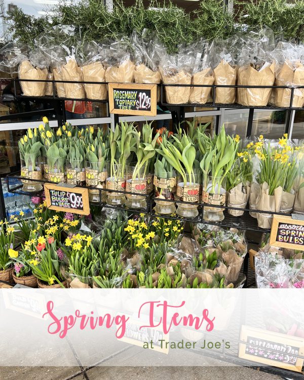 Trader Joe's Spring Finds! - Curly Crafty Mom