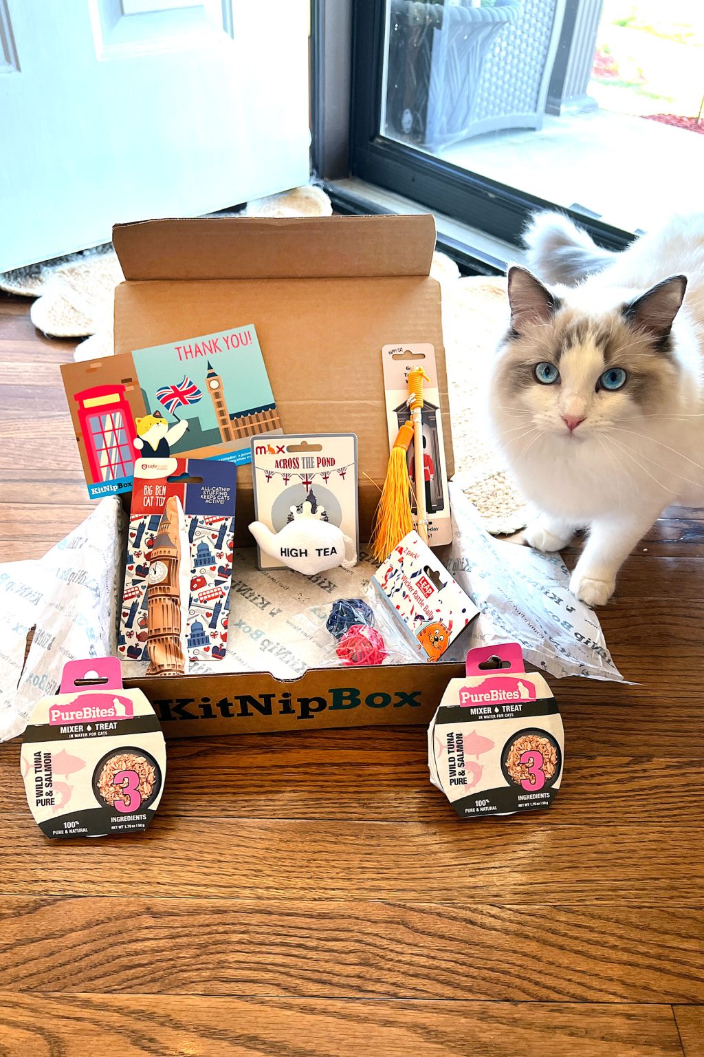 KitNipBox {Subscription Box for Cats!} Post 2 - Curly Crafty Mom