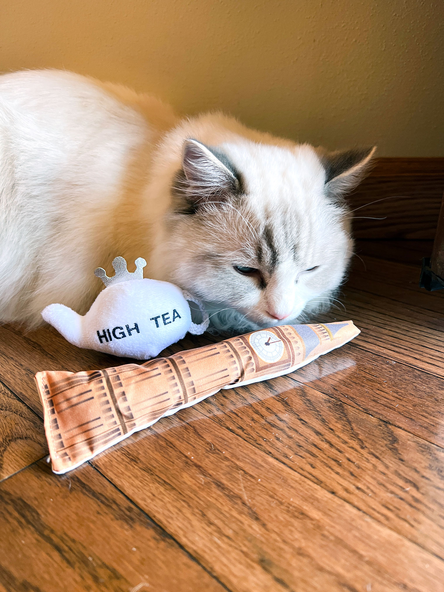 KitNipBox {Subscription Box for Cats!} Post 2 - Curly Crafty Mom