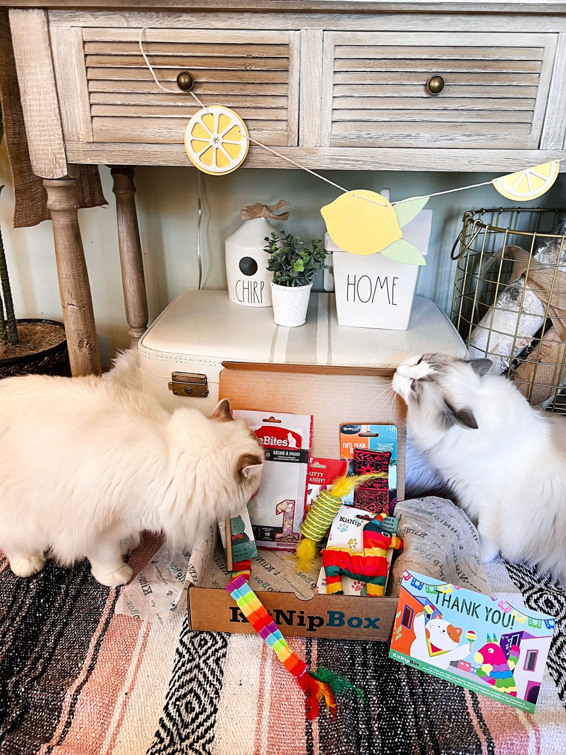 KitNipBox {Subscription Box for Cats!} Post 2 - Curly Crafty Mom