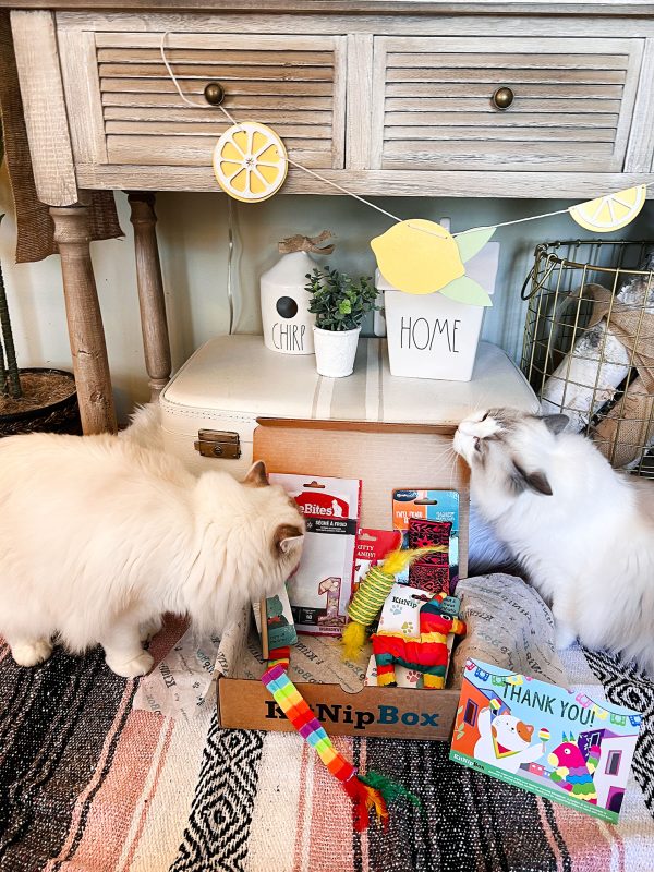 KitNipBox {Subscription Box for Cats!} Post 2 - Curly Crafty Mom